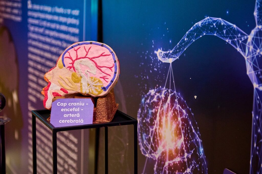 Învățăm și ne distrăm împreună la Expoziția “The Brain: Mind & Emotions ...