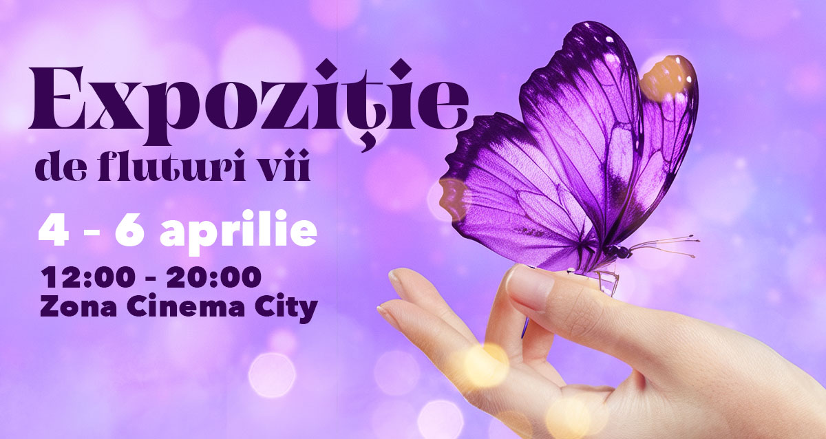 Expoziţie de fluturi exotici vii la Brăila Mall! - Revista Urbania